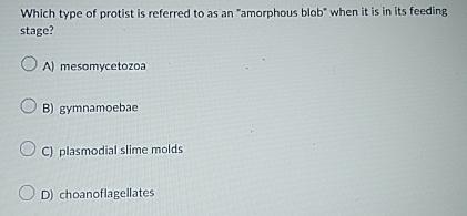 Solved Which type of protist is referred to as an "amorphous | Chegg.com