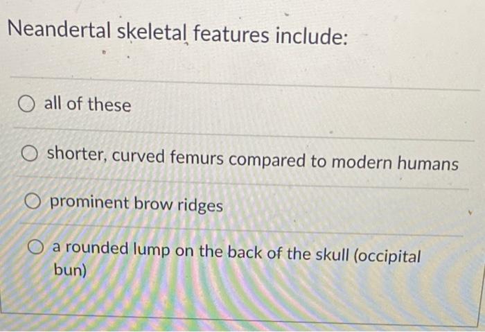 Neandertal skeletal features include: all of these | Chegg.com