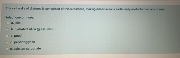 Solved How would each of the following procedural errors | Chegg.com