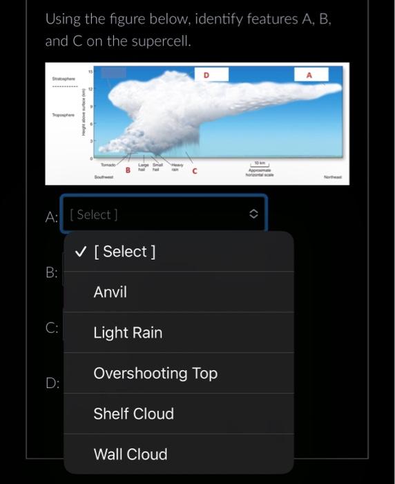 Solved Using the figure below, identify features A, B, and C | Chegg.com