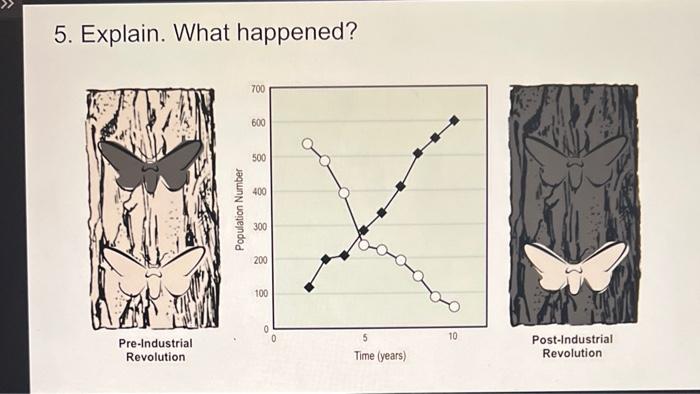 5. Explain. What happened? | Chegg.com