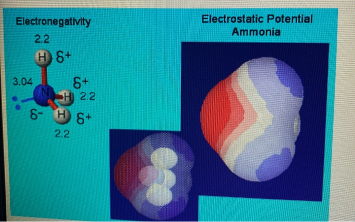 Solved Electrostatic Potential Ammonia Electronegativity 2.2 | Chegg.com