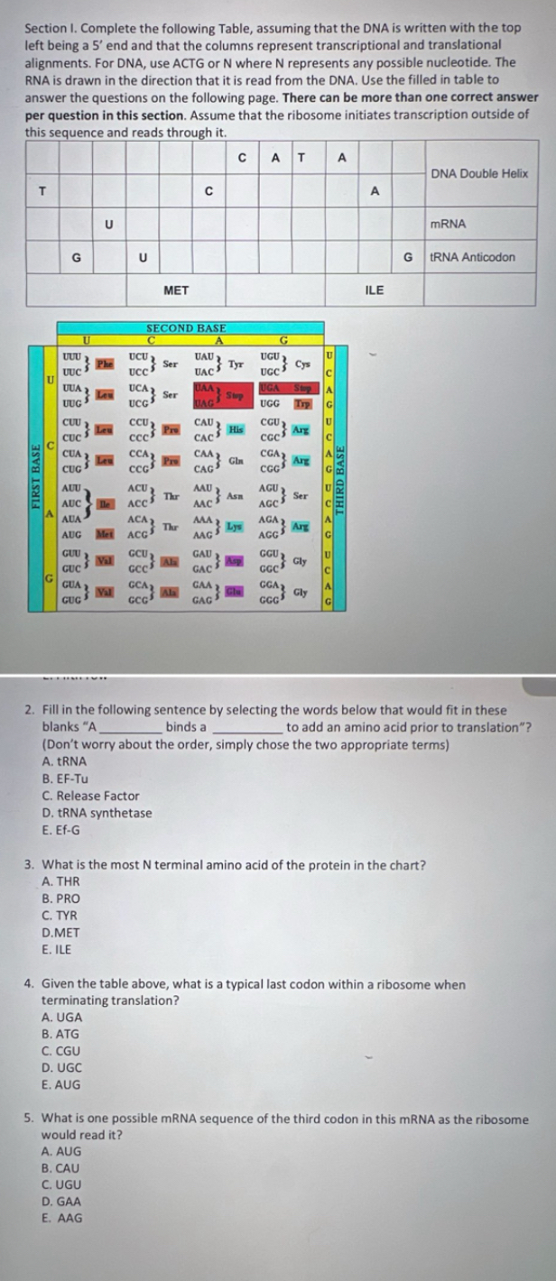Solved Section I. Complete the following Table, assuming | Chegg.com