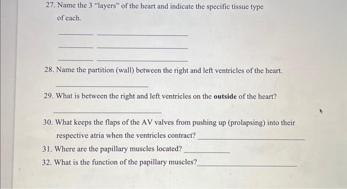 Solved 18. How do the semilunar valves differ structurally | Chegg.com