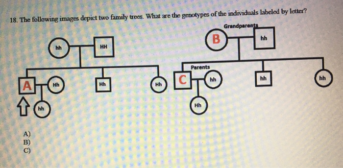 Solved 18. The following images depict two family trees. | Chegg.com