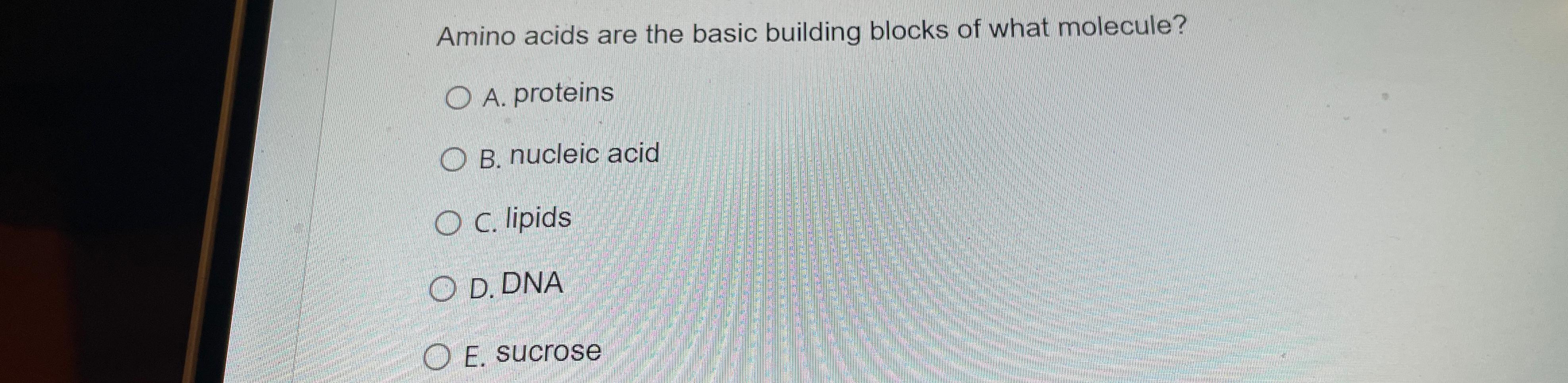 Solved Amino acids are the basic building blocks of what | Chegg.com