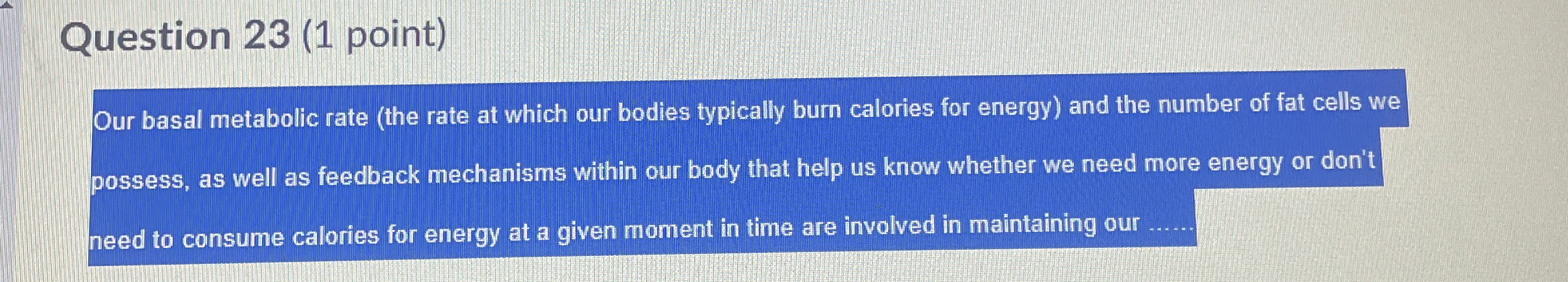 Solved Question 23 (1 ﻿point)Our basal metabolic rate (he | Chegg.com