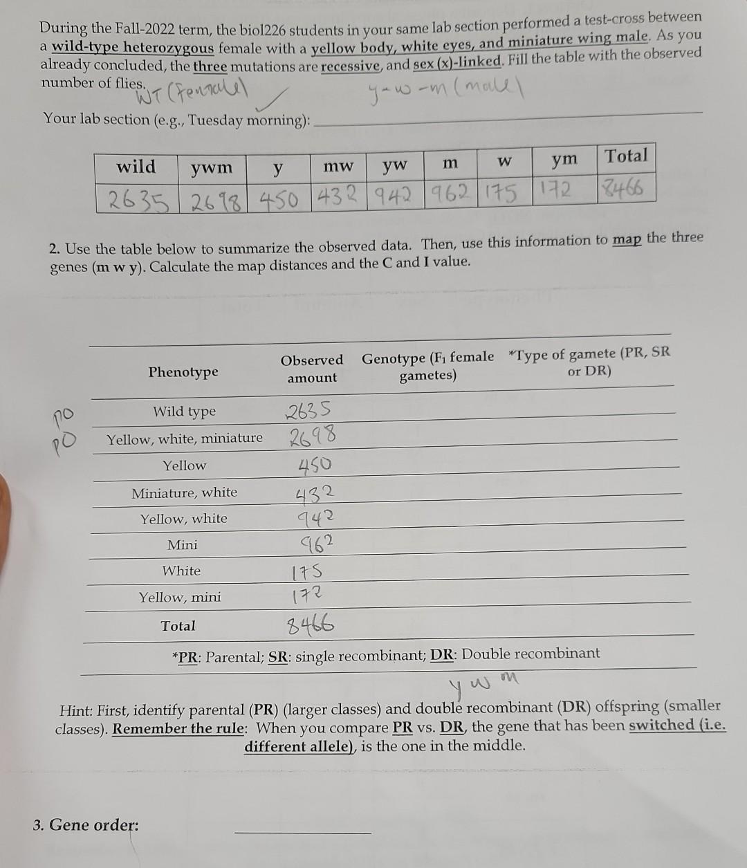 Solved MAPPING BASED ON REAL DATA During the Fall-2022 term, | Chegg.com