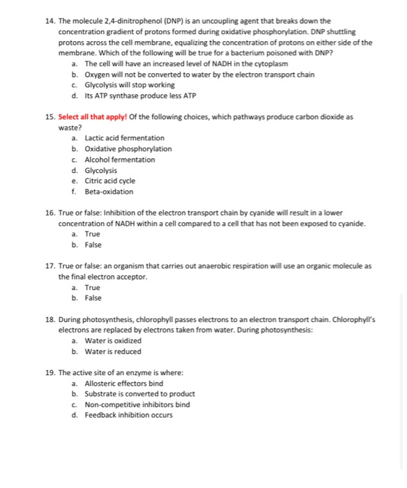 Solved 14. The molecule 2,4-dinitrophenol (DNP) is an | Chegg.com