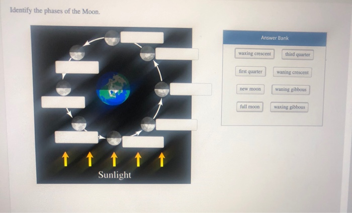 Solved Identify the phases of the Moon Answer Bank waxing | Chegg.com
