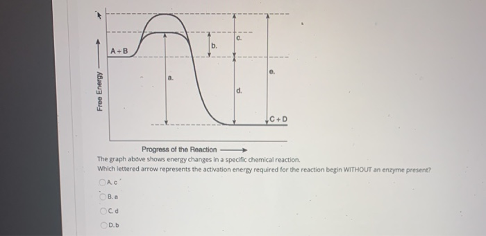 Solved Free Energy Progress of the Reaction The graph above | Chegg.com