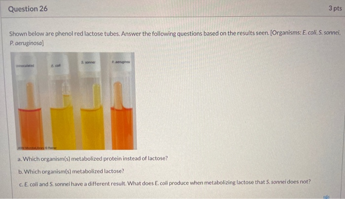Solved Question 26 3 pts Shown below are phenol red lactose | Chegg.com