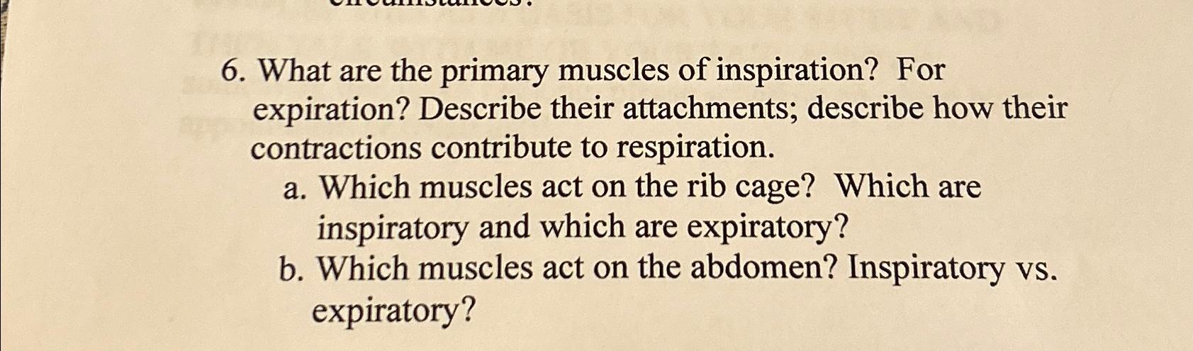 Solved What are the primary muscles of inspiration? For | Chegg.com
