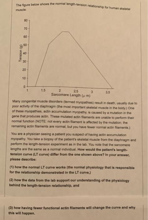 Solved The figure below shows the normal length tension | Chegg.com