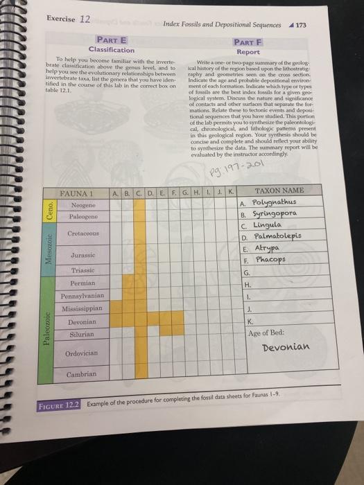 Index Fossils and Depositional Sequences FAUNA 3 | Chegg.com