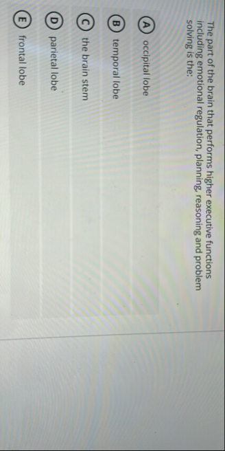 Solved The part of the brain that performs higher executive | Chegg.com