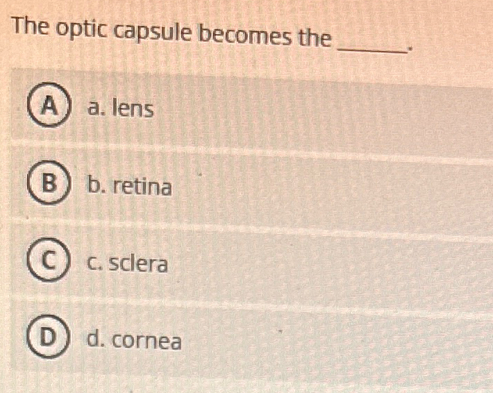 Solved The optic capsule becomes the q,a. ﻿lensb. ﻿retinac. | Chegg.com