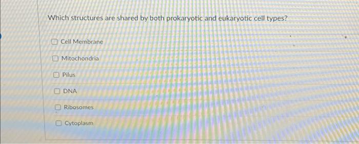 Solved Which structures are shared by both prokaryotic and | Chegg.com