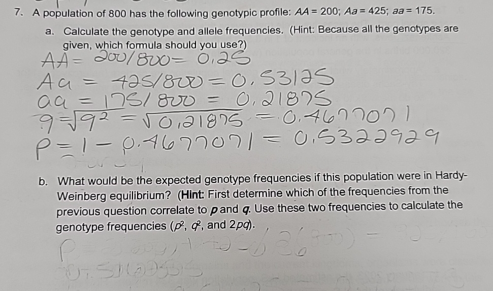 Solved A population of 800 ﻿has the following genotypic | Chegg.com