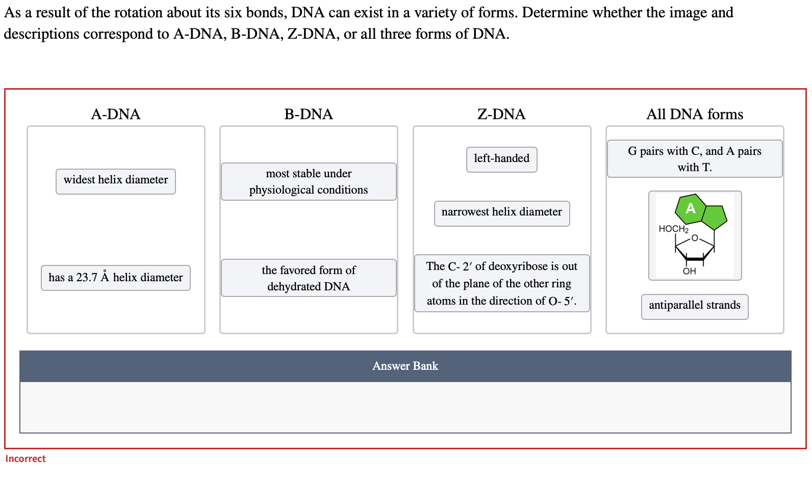 Solved As a result of the rotation about its six bonds, DNA | Chegg.com