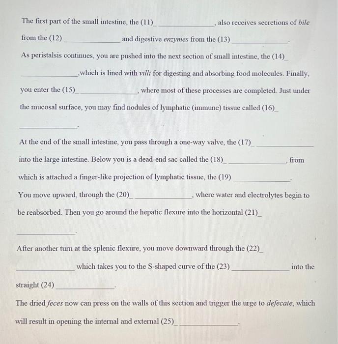 Solved Lab 7. Digestive System Anatomy Prelab: please help! | Chegg.com