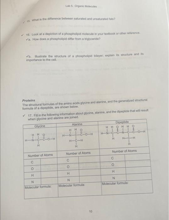 Solved Lipids The structural formula of a molecule of | Chegg.com