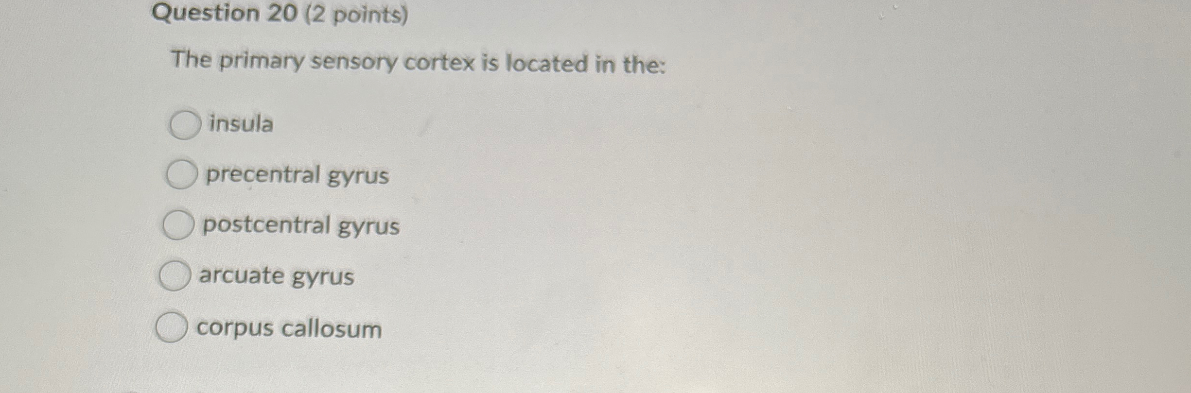 Solved Question 20 (2 ﻿points)The primary sensory cortex is | Chegg.com