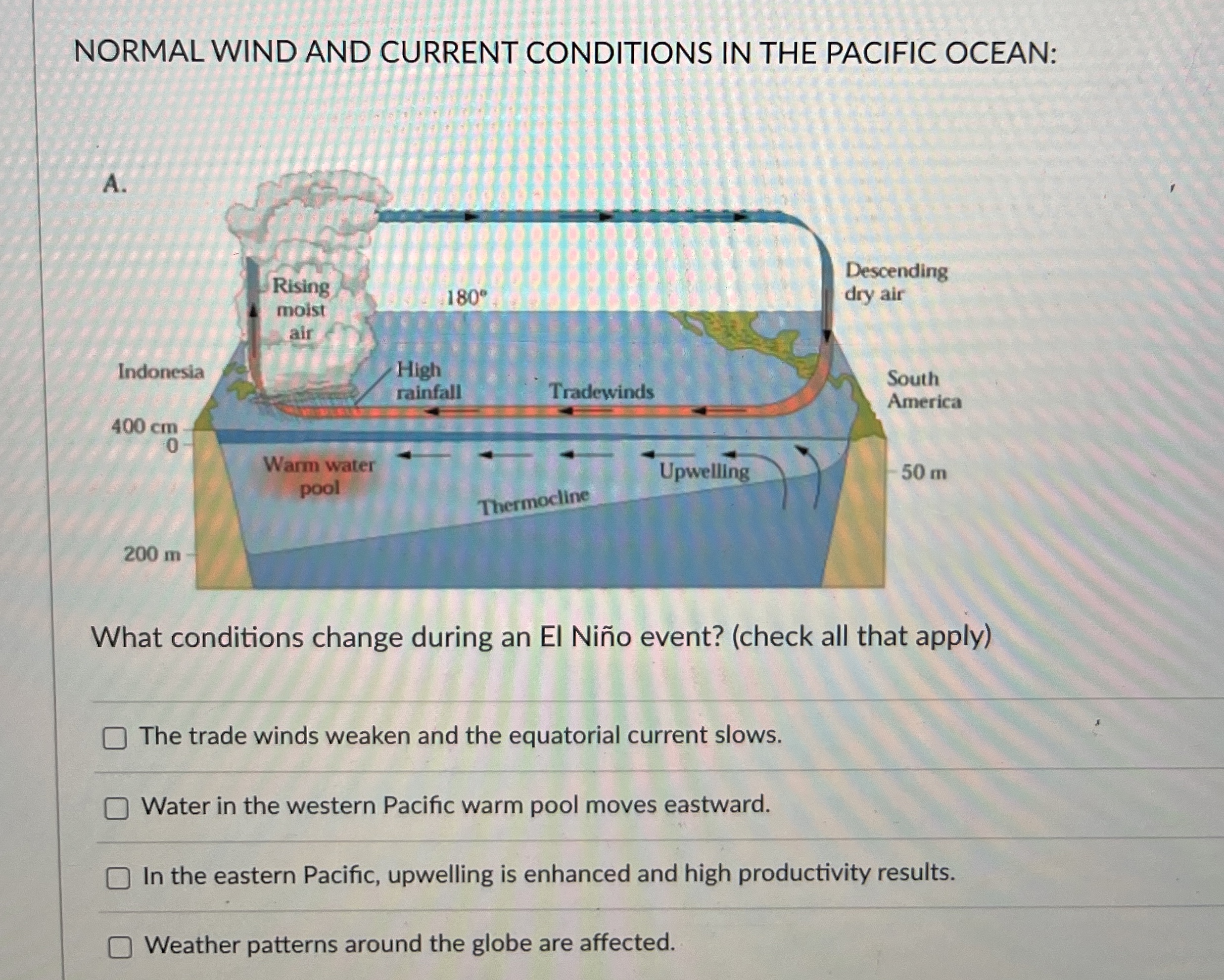 Solved NORMAL WIND AND CURRENT CONDITIONS IN THE PACIFIC | Chegg.com