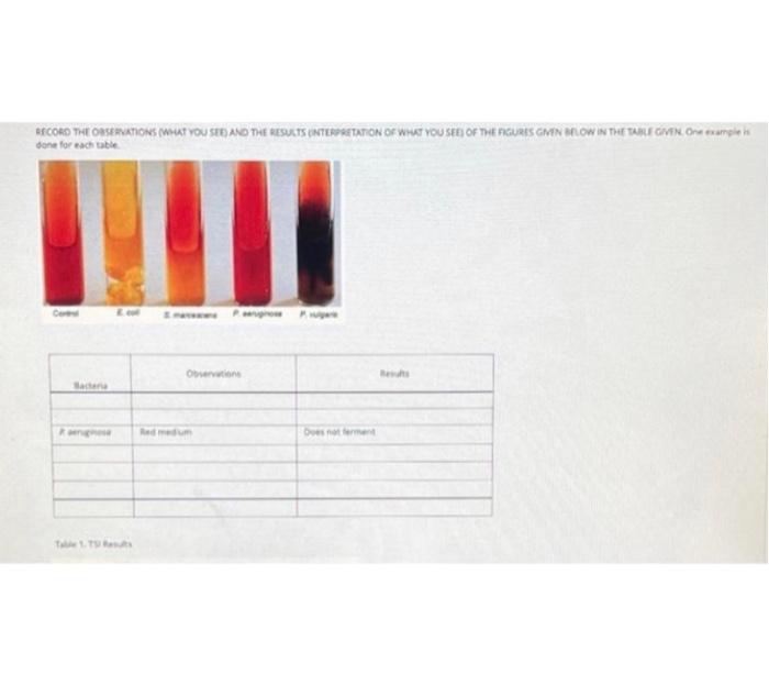 Group Activity - Carbohydrate Fermentation Hime | Chegg.com