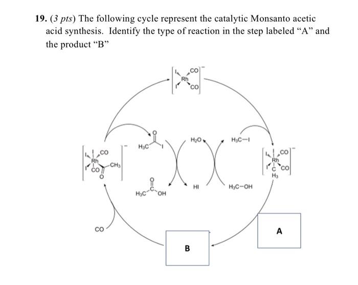 Solved 19. (3 pts) The following cycle represent the | Chegg.com