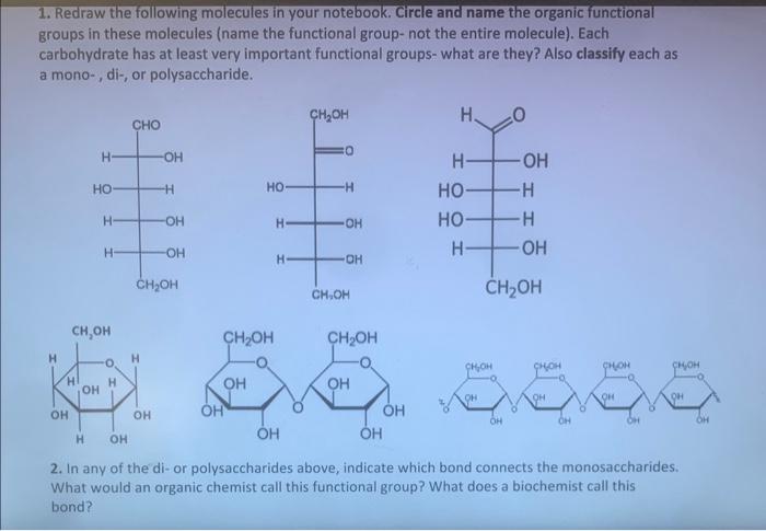 Solved 1. Redraw the following molecules in your notebook. | Chegg.com Solved 1. Redraw the following molecules in your notebook. | Chegg.com