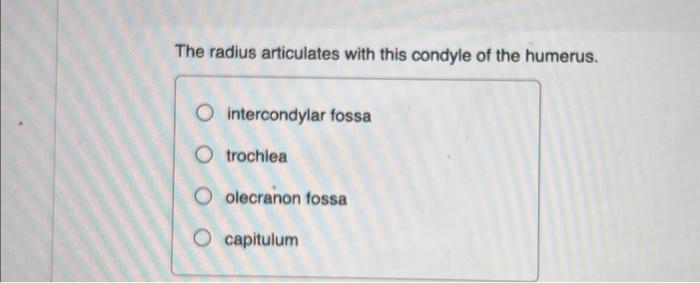 [Solved]: The radius articulates with this condyle of the hu