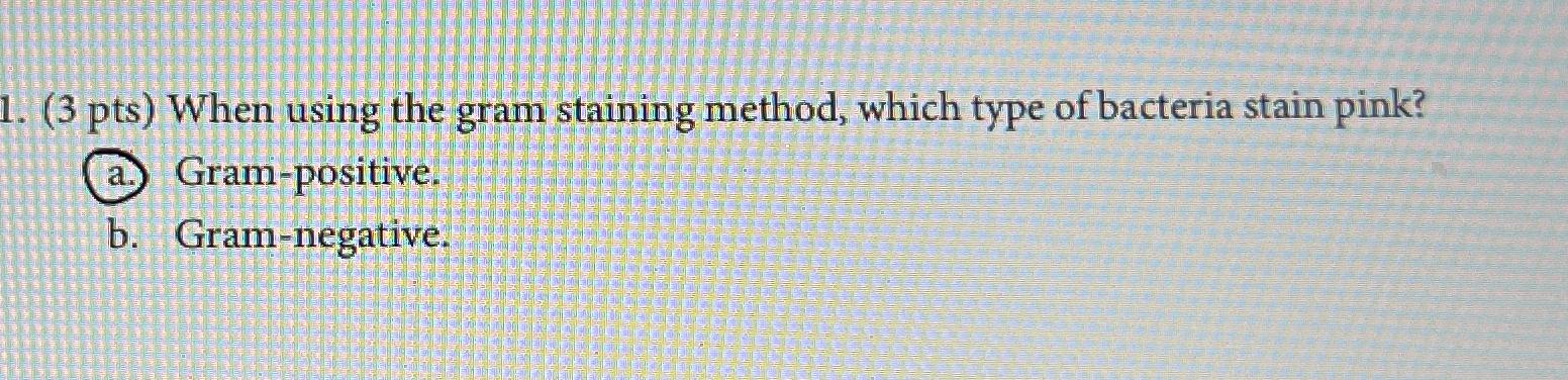 Solved (3 ﻿pts) ﻿When using the gram staining method, which | Chegg.com