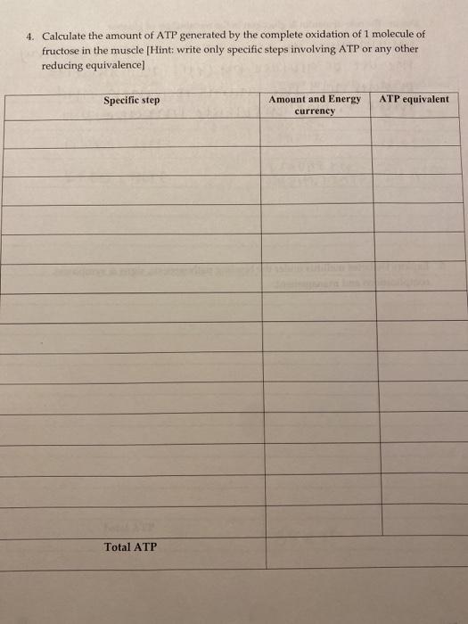 Solved 4. Calculate the amount of ATP generated by the | Chegg.com