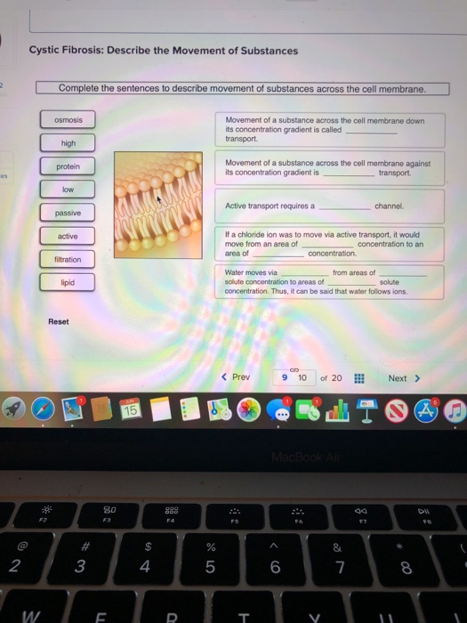 Solved complete the sentences to describe movement of | Chegg.com