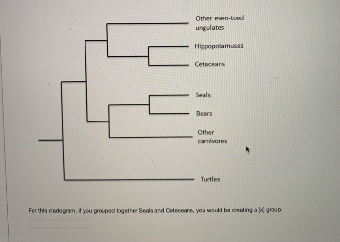 Solved Other even-toed ungulates Hippopotamuses Cetaceans | Chegg.com