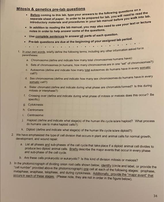 Solved . . . Mitosis & genetics pre-lab questions • Before | Chegg.com