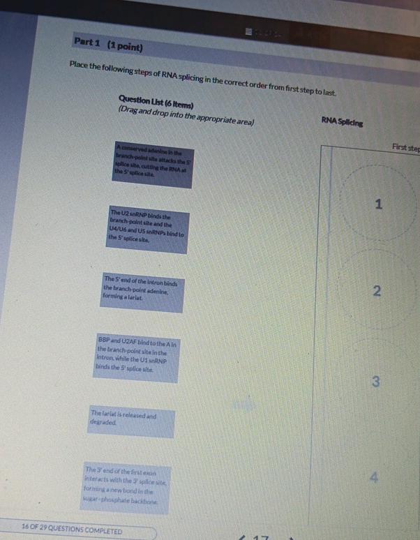Solved Part 1(1 ﻿point)Place the following steps of RNA | Chegg.com