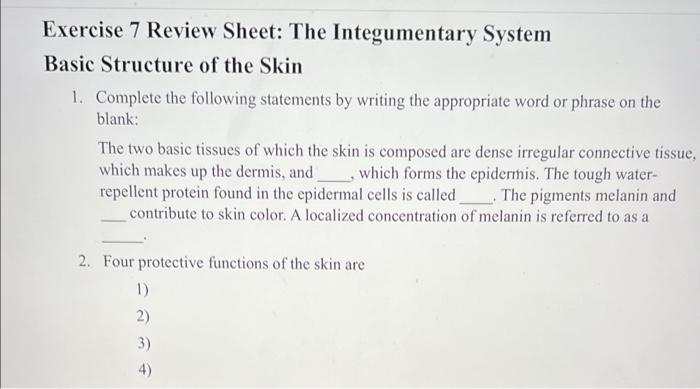 Solved Exercise 7 Review Sheet: The Integumentary System | Chegg.com