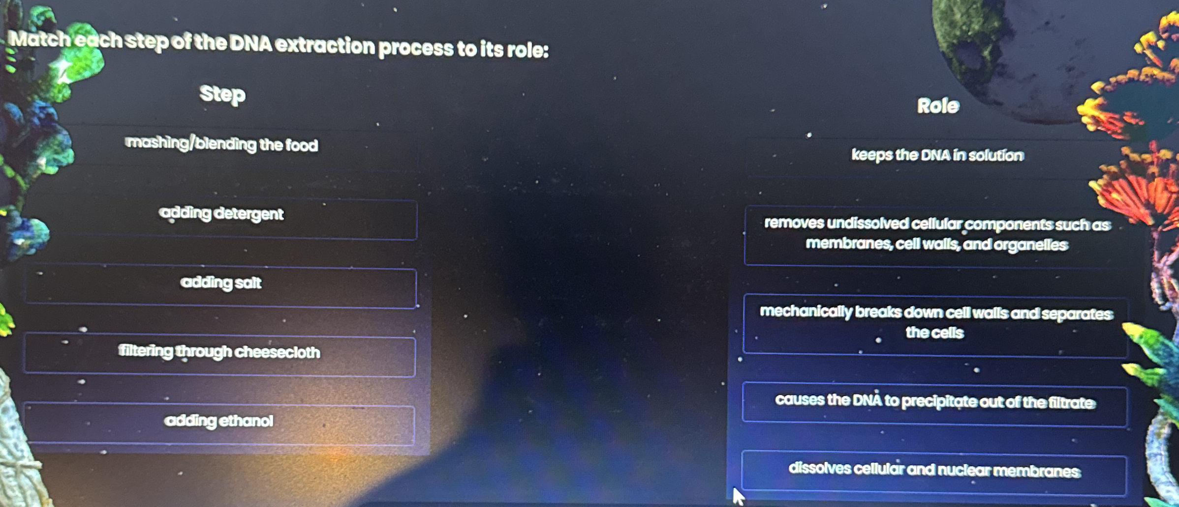 Solved Matele ch step of the DNA extruction process to its | Chegg.com
