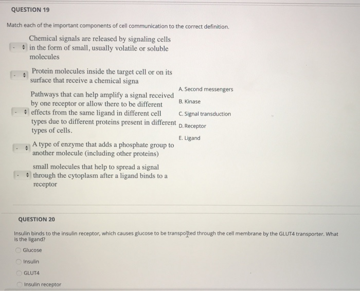 Solved QUESTION 19 Match each of the important components of | Chegg.com