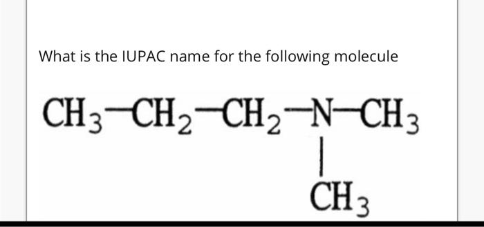 Solved What is the IUPAC name for the following molecule CH3 | Chegg.com