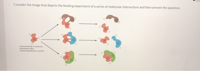 Solved Consider the image that depicts the binding | Chegg.com