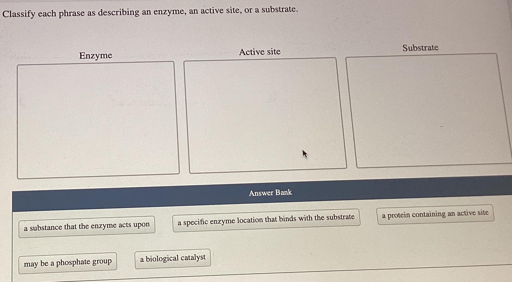 Solved Classify each phrase as describing an enzyme, an | Chegg.com