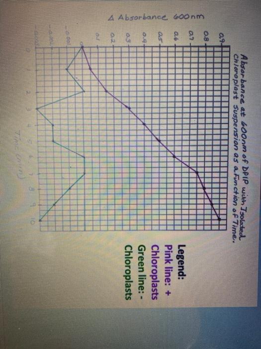 Solved Look at the Hill Reaction Graph Below. Assume the | Chegg.com