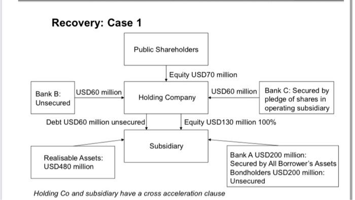 Recovery: Case 1 Public Shareholders Holding Co and | Chegg.com
