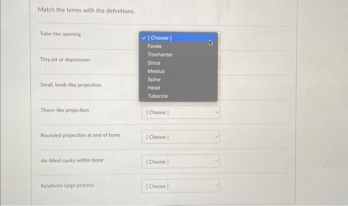 Solved Match the terms with the definitions. Tube-like | Chegg.com