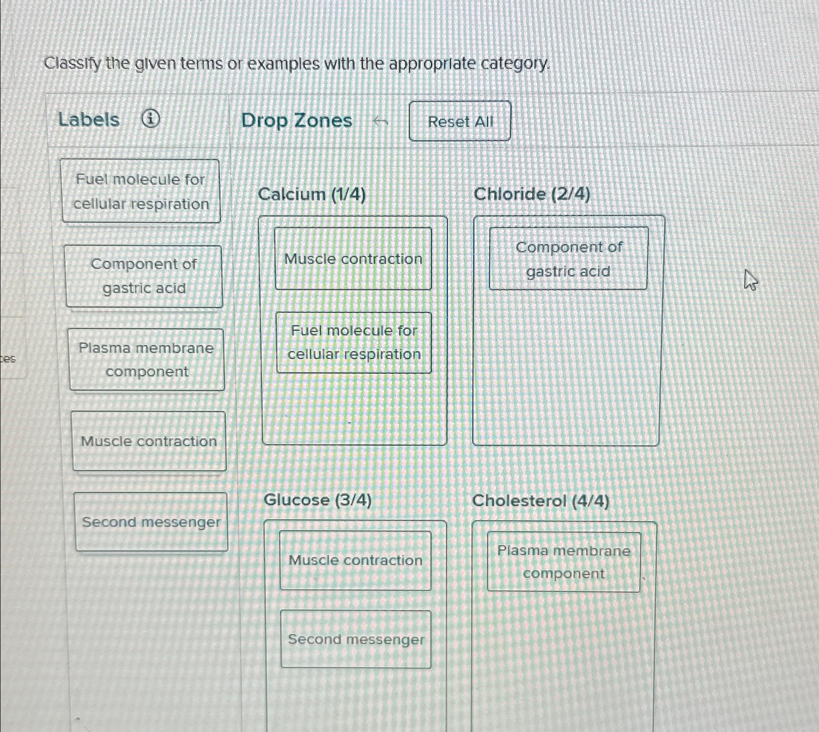 Solved Classify the given tems or examples with the | Chegg.com