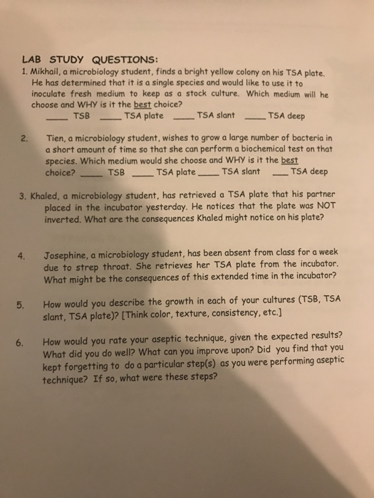 Solved LAB STUDY QUESTIONS: 1. Mikhail, a microbiology | Chegg.com