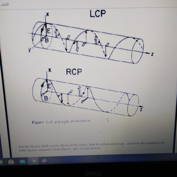 الأحلام LCP В ling X RCP B Z Figure Left and right | Chegg.com